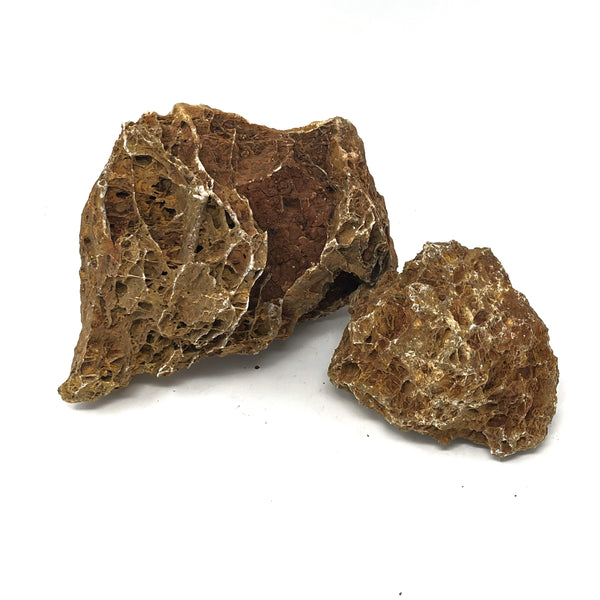 Maple Leaf Stone – Aqua Forest Aquarium