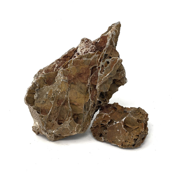 Maple Leaf Stone – Aqua Forest Aquarium