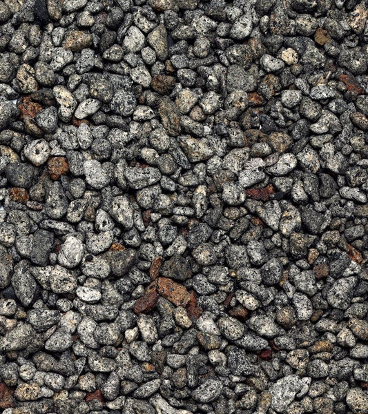 DOOA JUNGLE BASE – Aqua Forest Aquarium