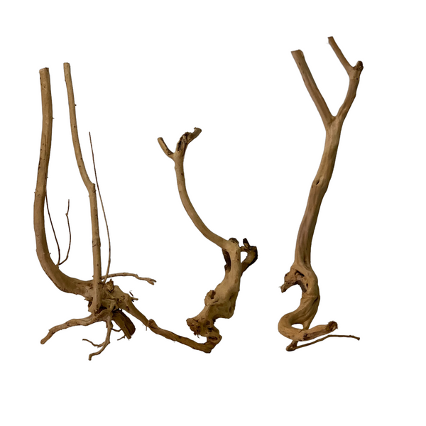 Straight branch/stump wood – Aqua Forest Aquarium