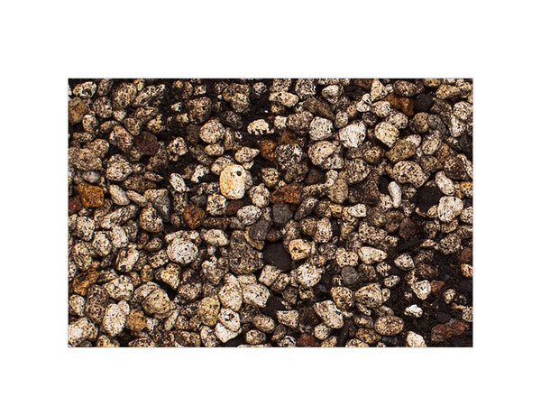 ADA Power Sand Basic (1 Liter) – Aqua Forest Aquarium